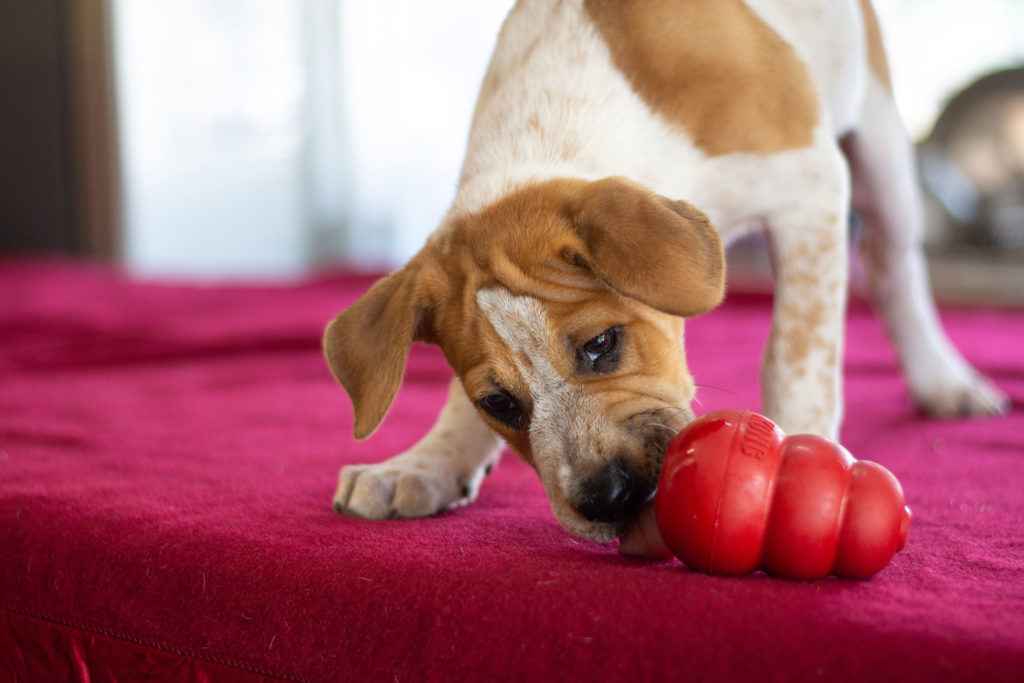 Help us with our Wishlist