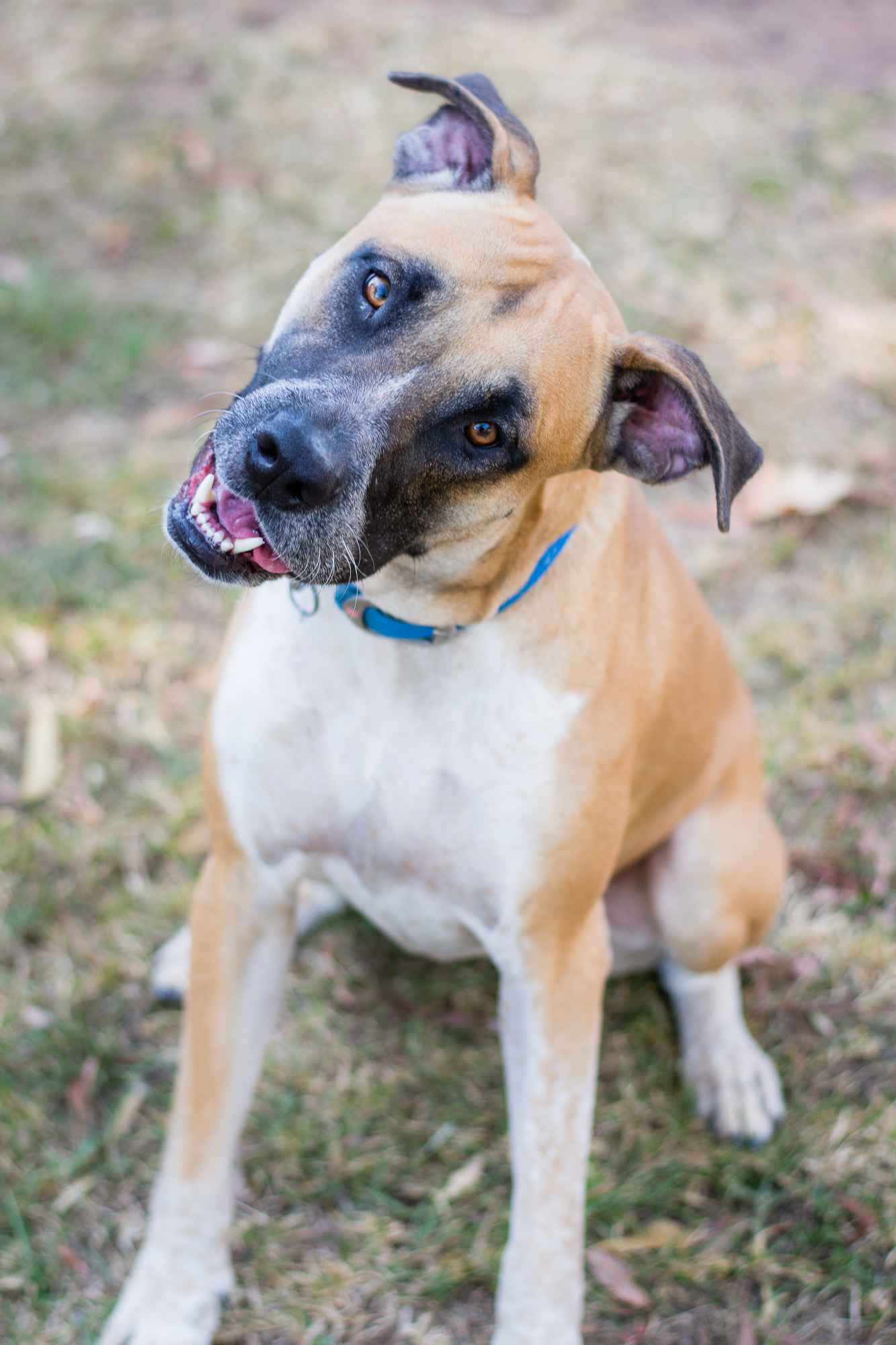 Enrichment Program Volunteer